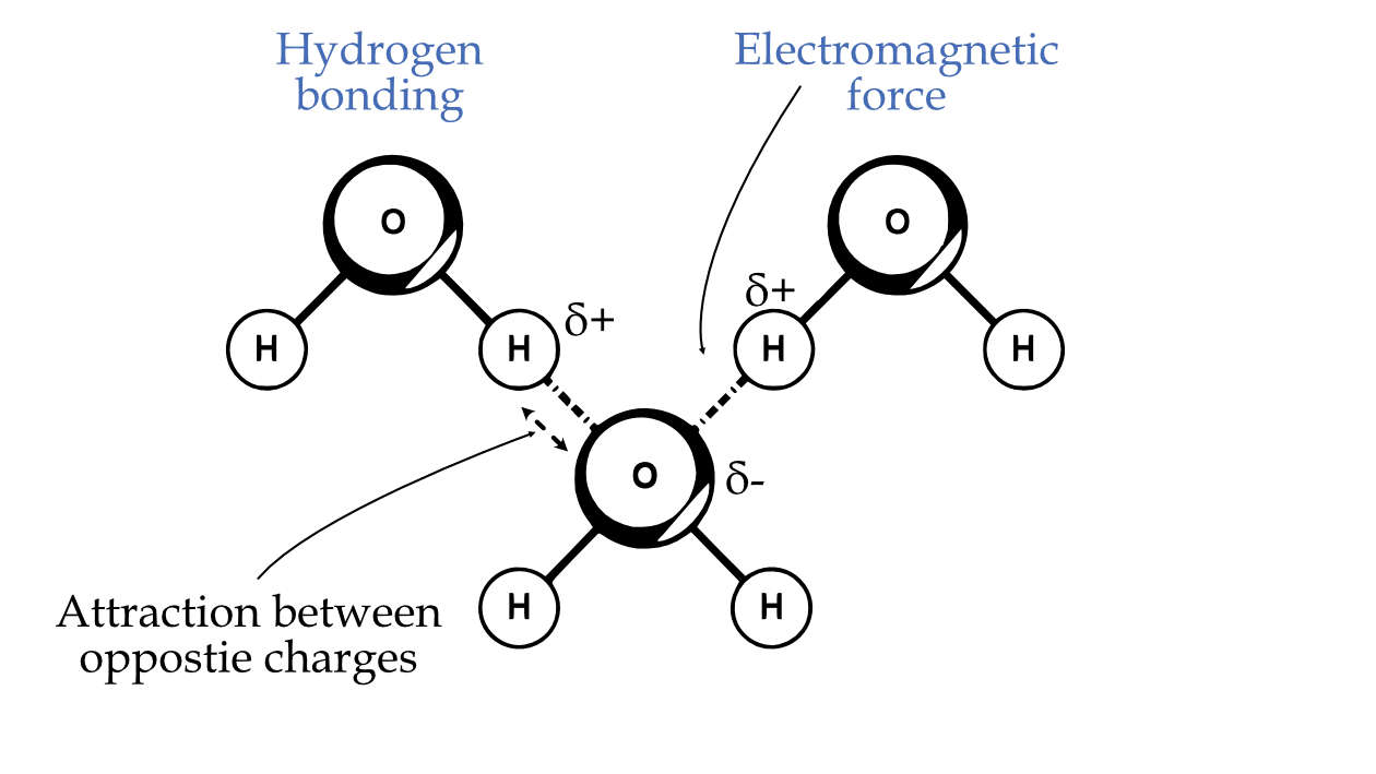 How can you define any Force in terms of Fundamental Forces? - eigenplus