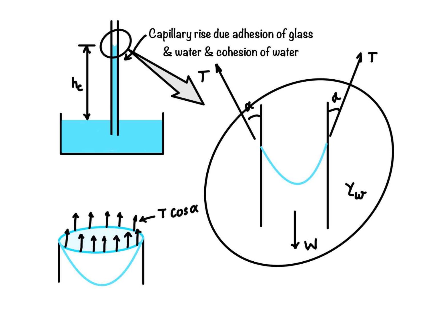 What makes you walk in the sand near the seashore? - eigenplus